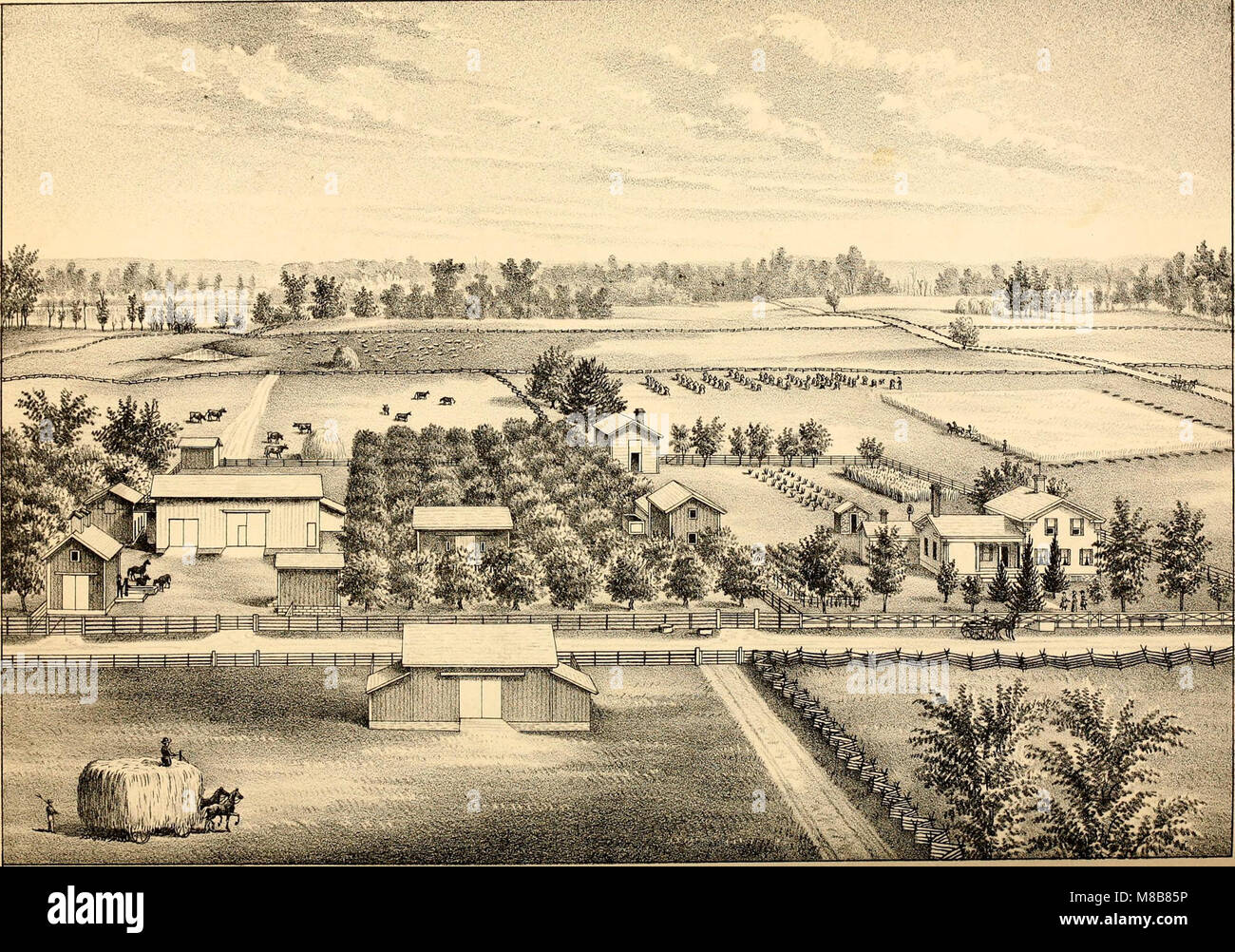 *History of Ingham and Eaton Counties, Michigan* (1880) offers a ...