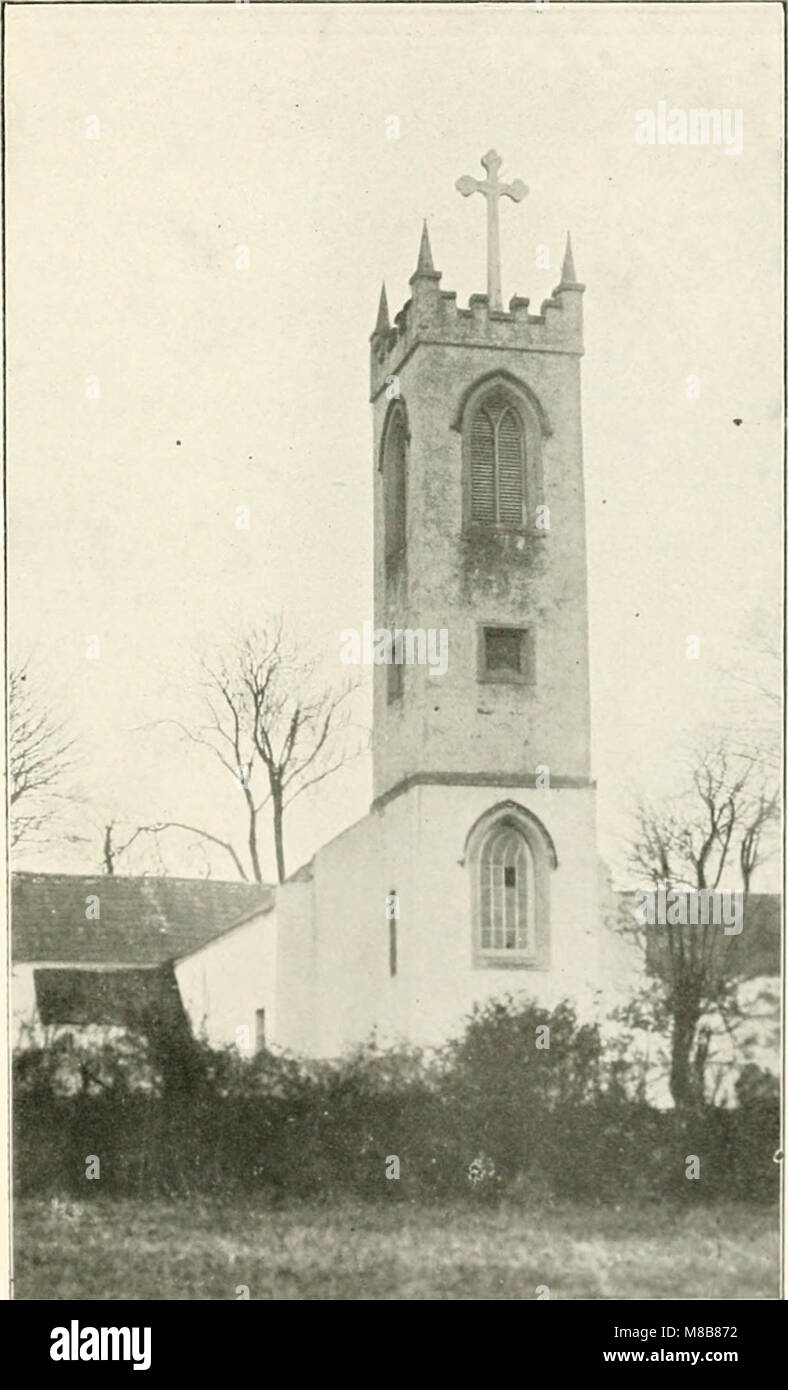 Dromiskin hi-res stock photography and images - Alamy