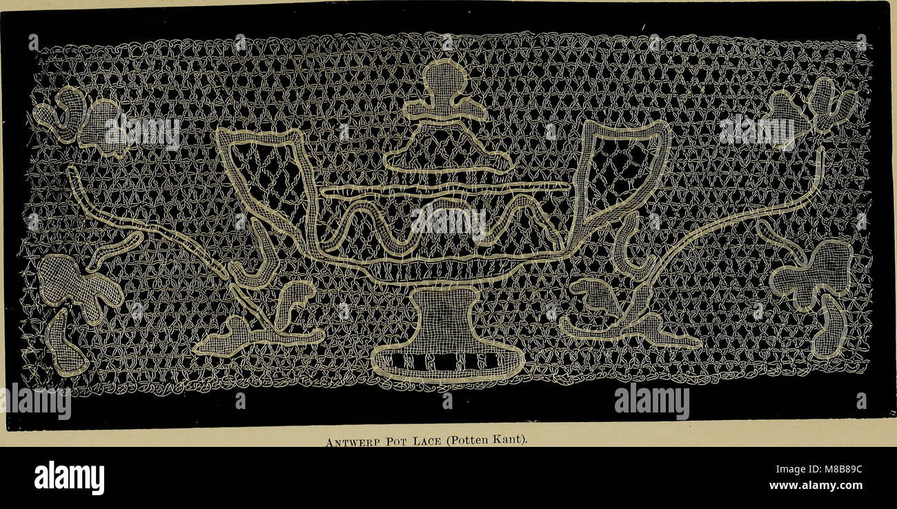 The 1902 publication 'History of Lace' offers a detailed exploration of ...