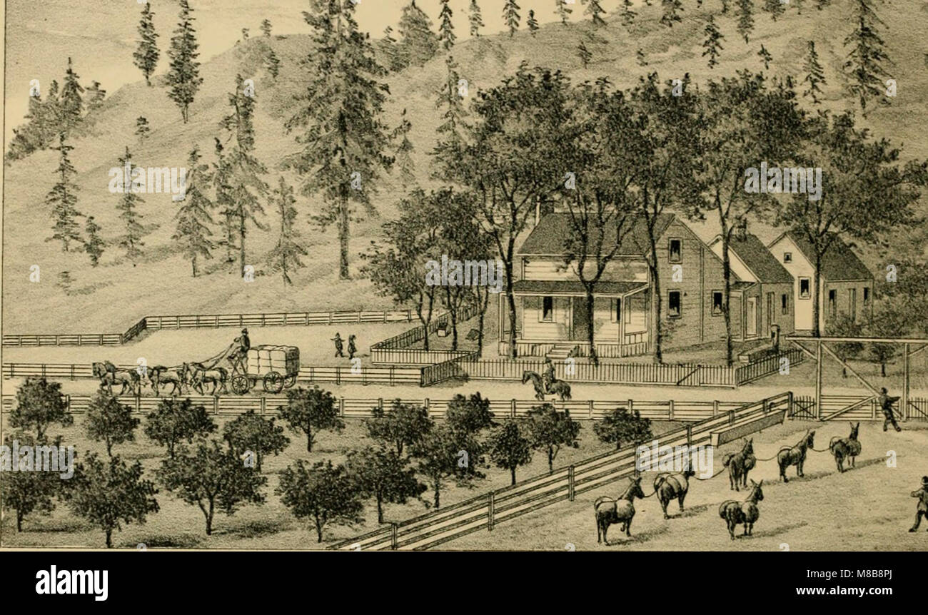 The 'History of Nevada' (1881) provides a detailed account of the state ...