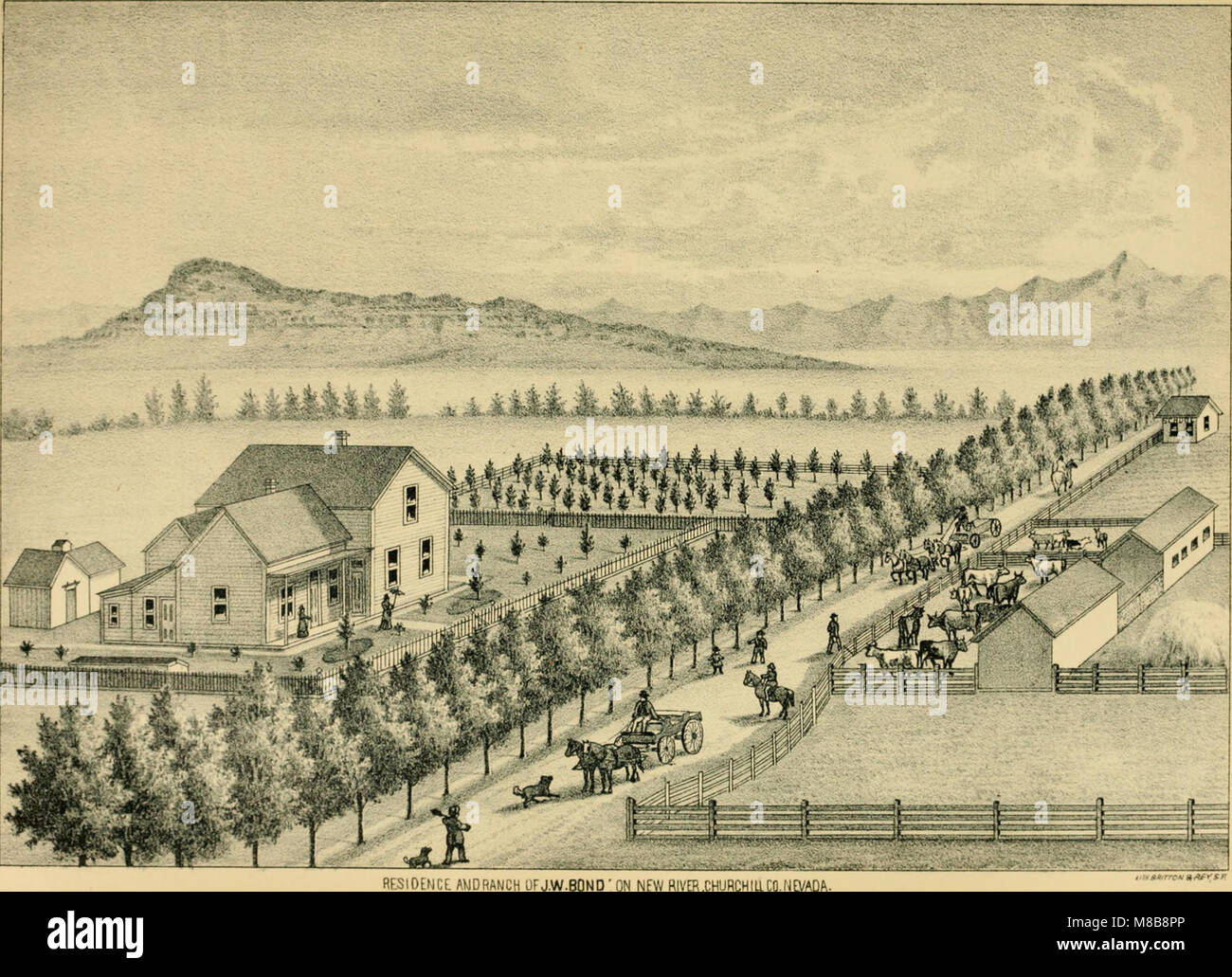 The 'History of Nevada' (1881) outlines the development of the state ...