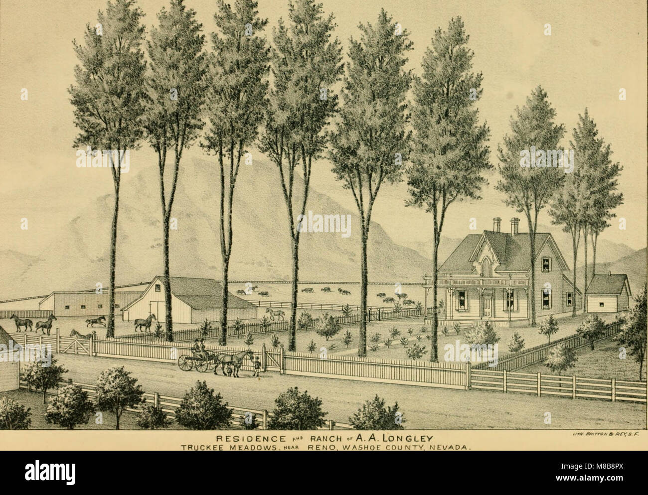 'History of Nevada' (1881) provides a comprehensive overview of the ...