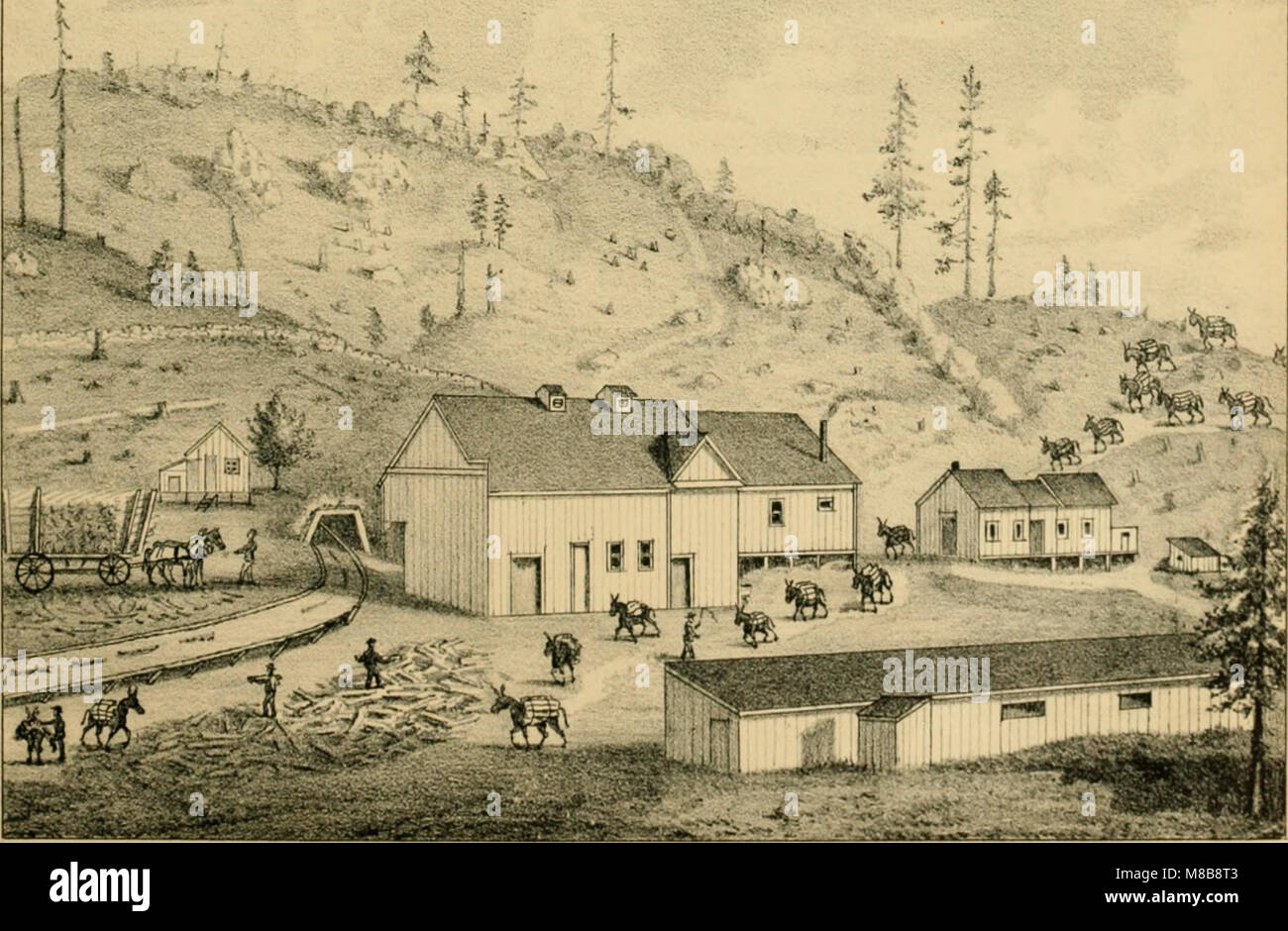 History of Nevada; (1881) (14799333373 Stock Photo - Alamy