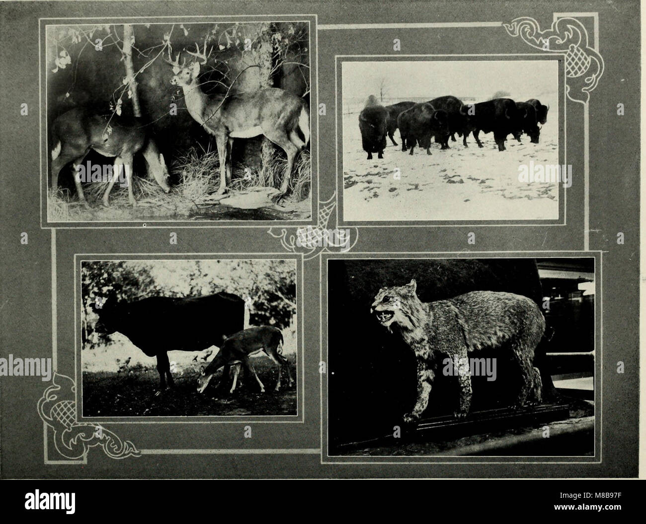 The *History of Richardson County, Nebraska* (1917) outlines the ...