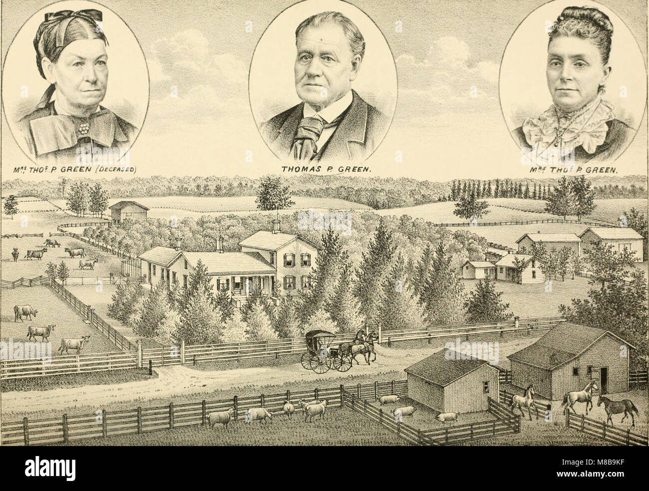 History of Shiawassee and Clinton counties, Michigan (1880 ...