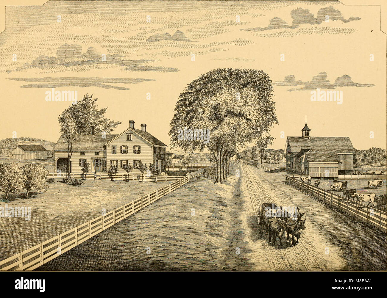 The 1879 History of the Connecticut Valley in Massachusetts details the ...