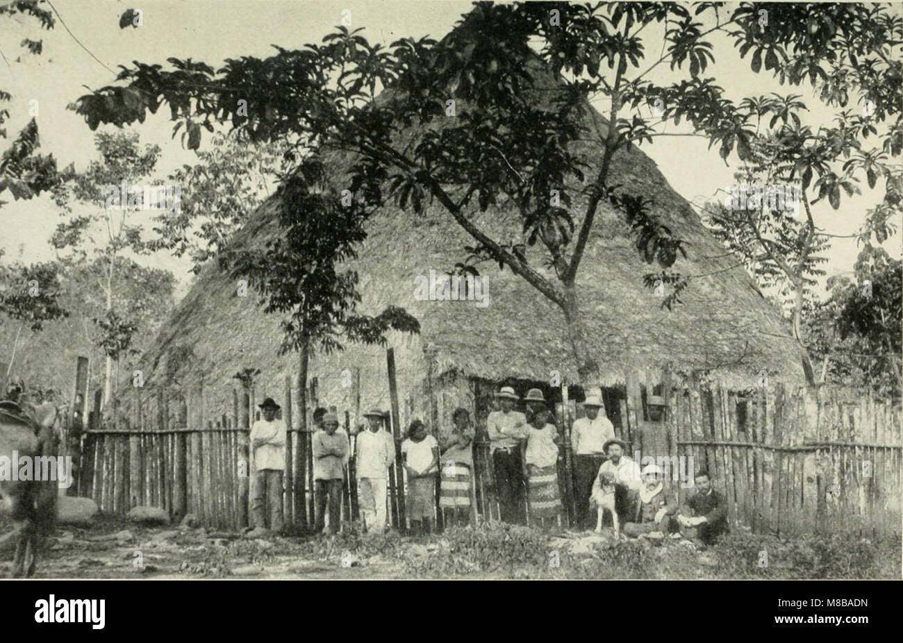 History of the discovery and conquest of Costa Rica (1913) (14740393036 ...