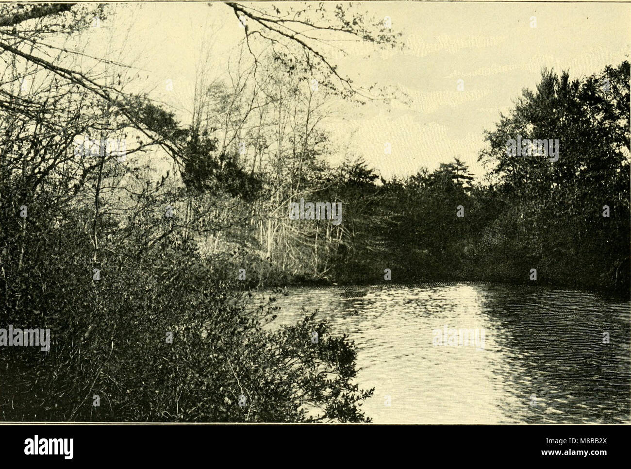 Daniel Ricketson and his friends; letters, poems, sketches, etc. (1902 ...