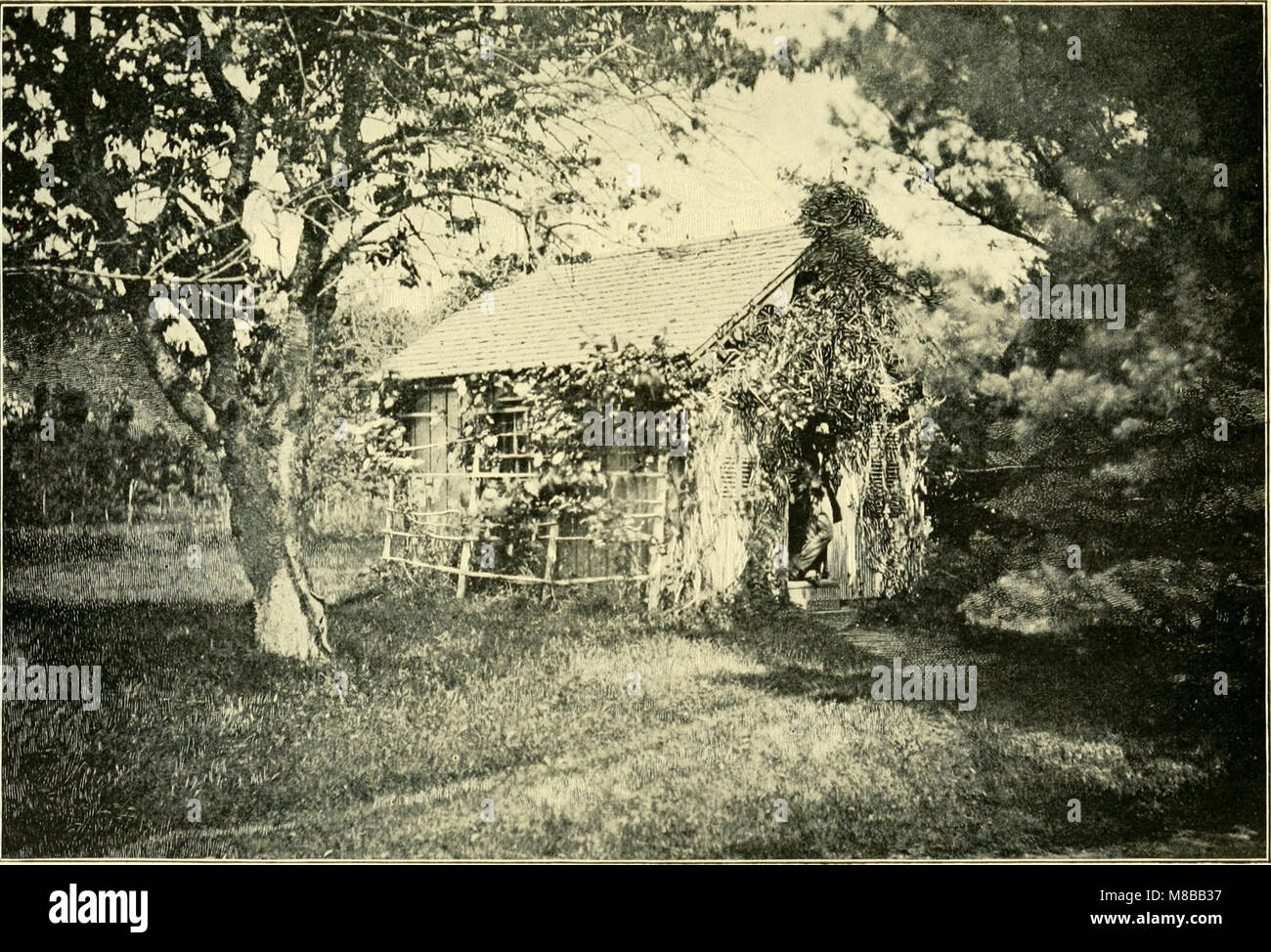 This 1902 collection of letters, poems, and sketches by Daniel ...