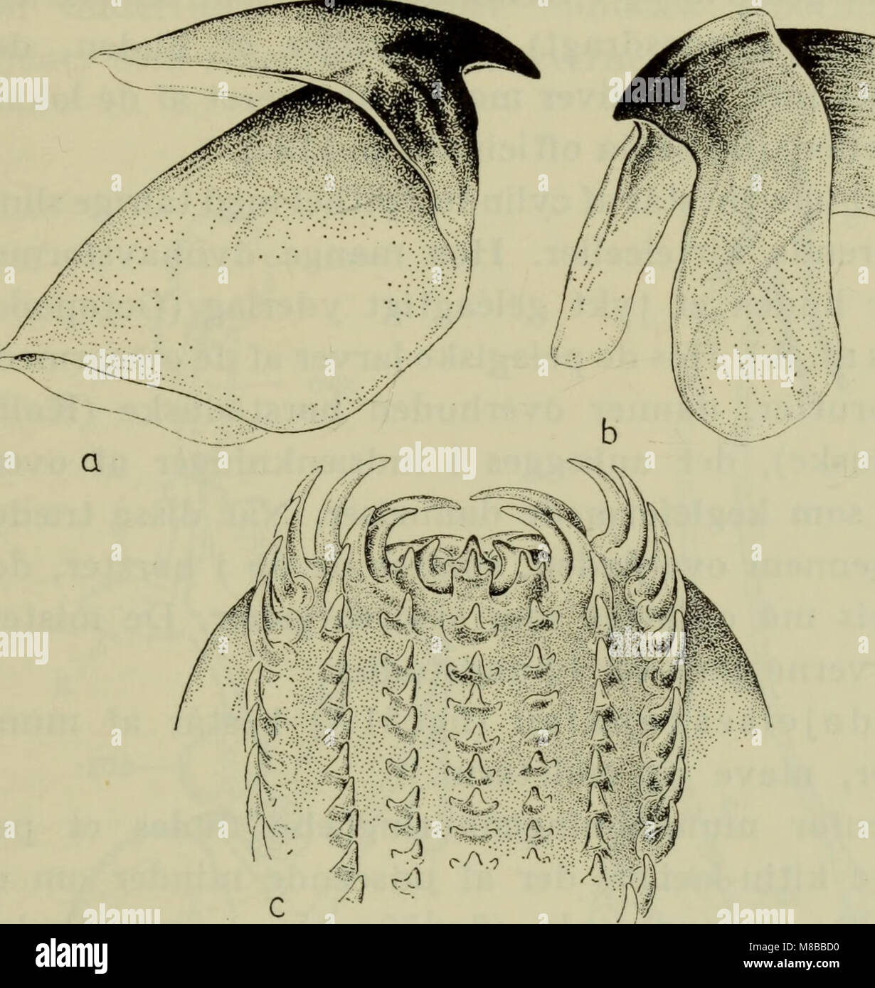 'Danmarks fauna' (1907) is an illustrated handbook of Denmark's animal ...