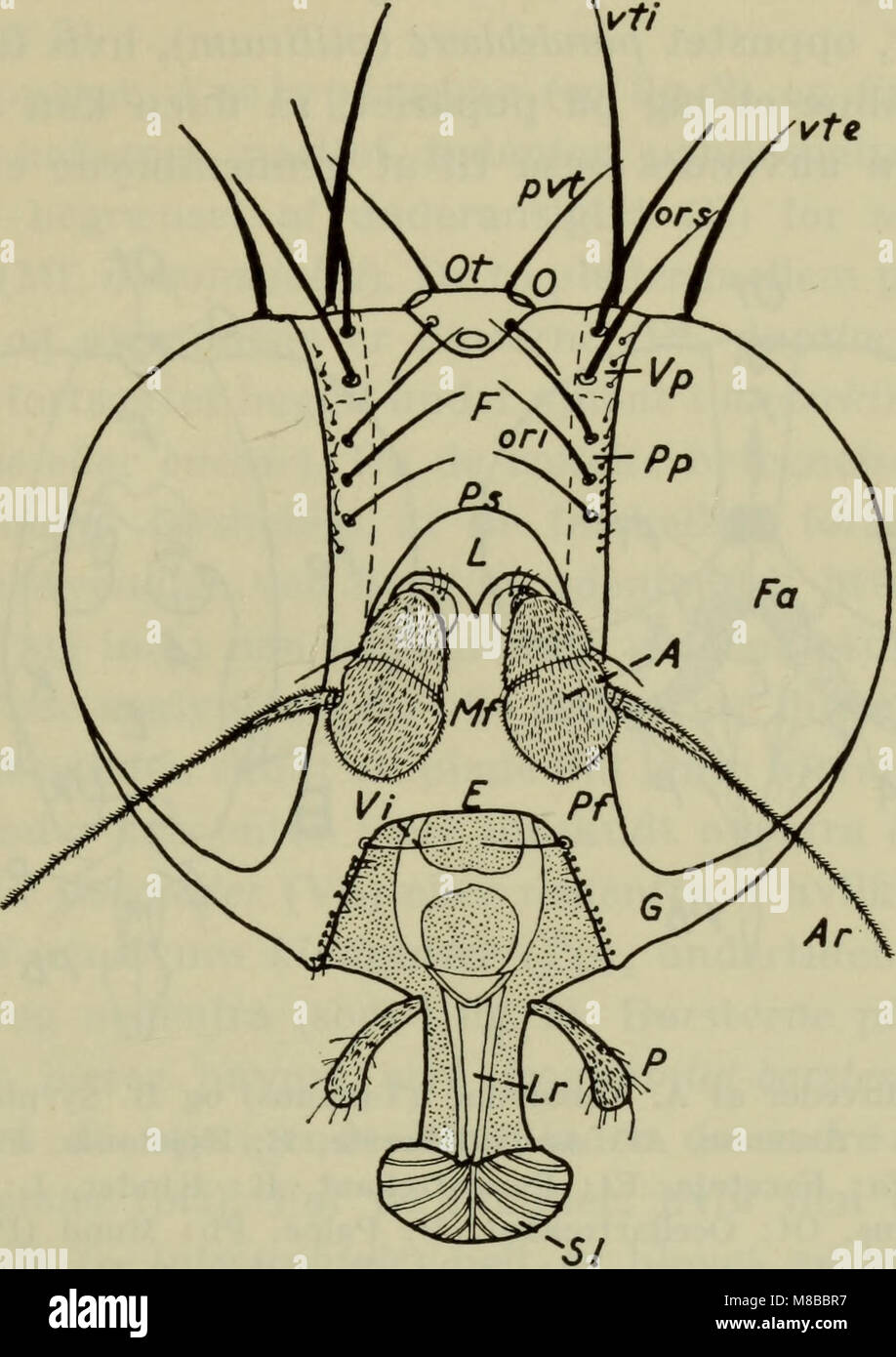 This 1907 handbook provides an illustrated guide to the fauna of ...