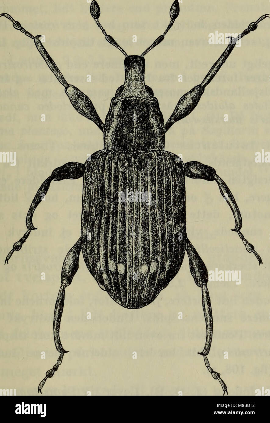 This 1907 illustrated guide Danmarks fauna explores the fauna of ...