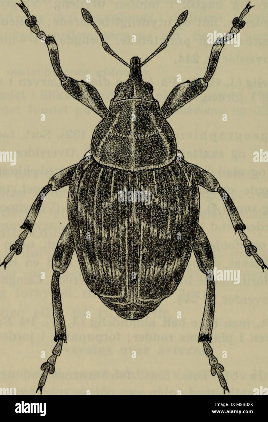 A 1907 illustrated handbook on the fauna of Denmark, detailing native ...