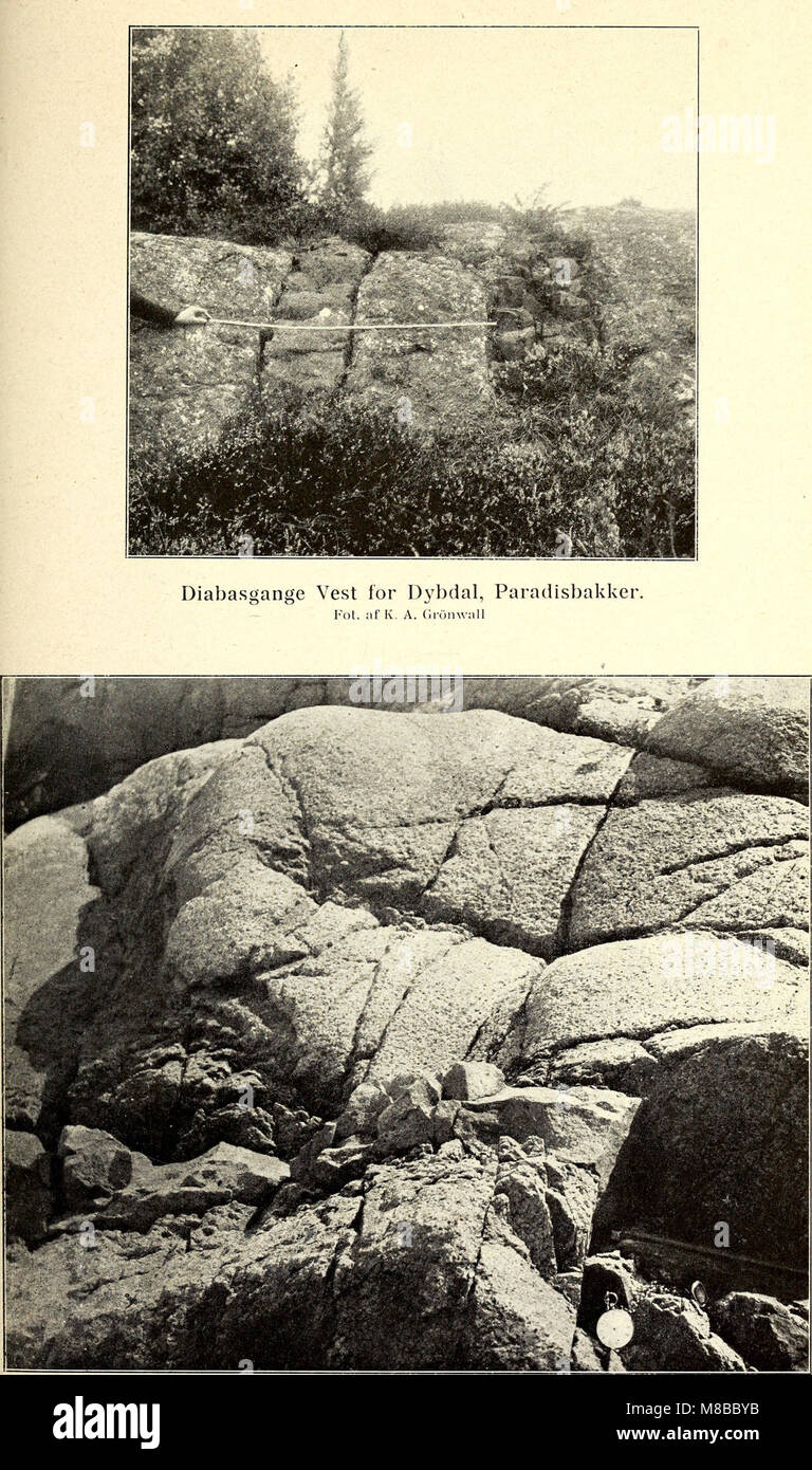 'Danmarks Geologiske UndersÃ¸gelse' (1916) is a Danish geological study ...