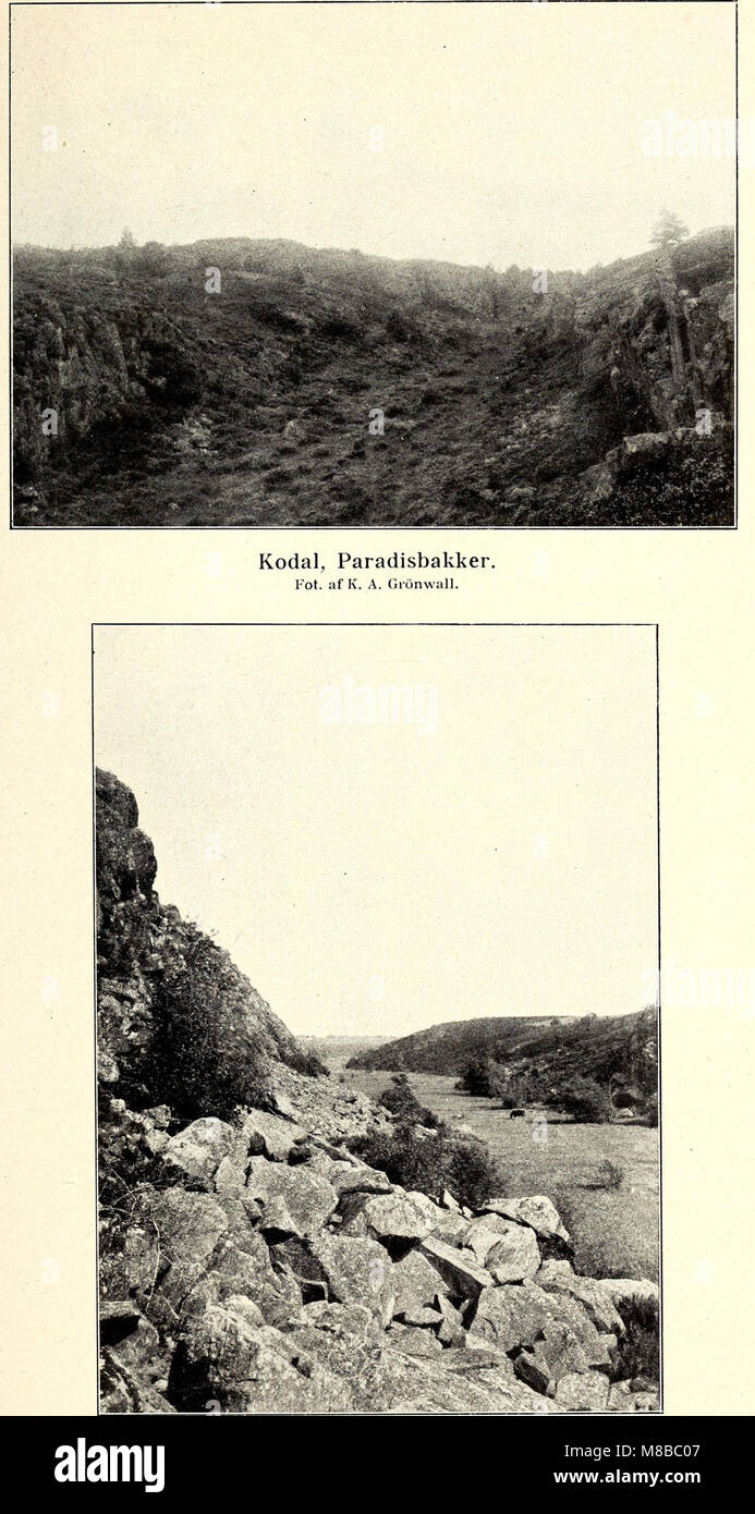 'Danmarks Geologiske UndersÃ¸gelse' (1916) is a Danish geological ...