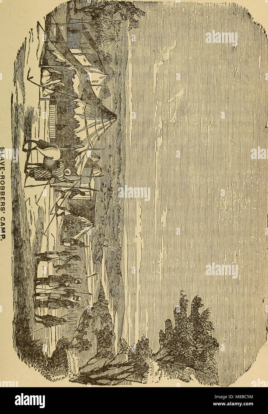 Daring deeds in the tropics. A thrilling narrative of remarkable ...