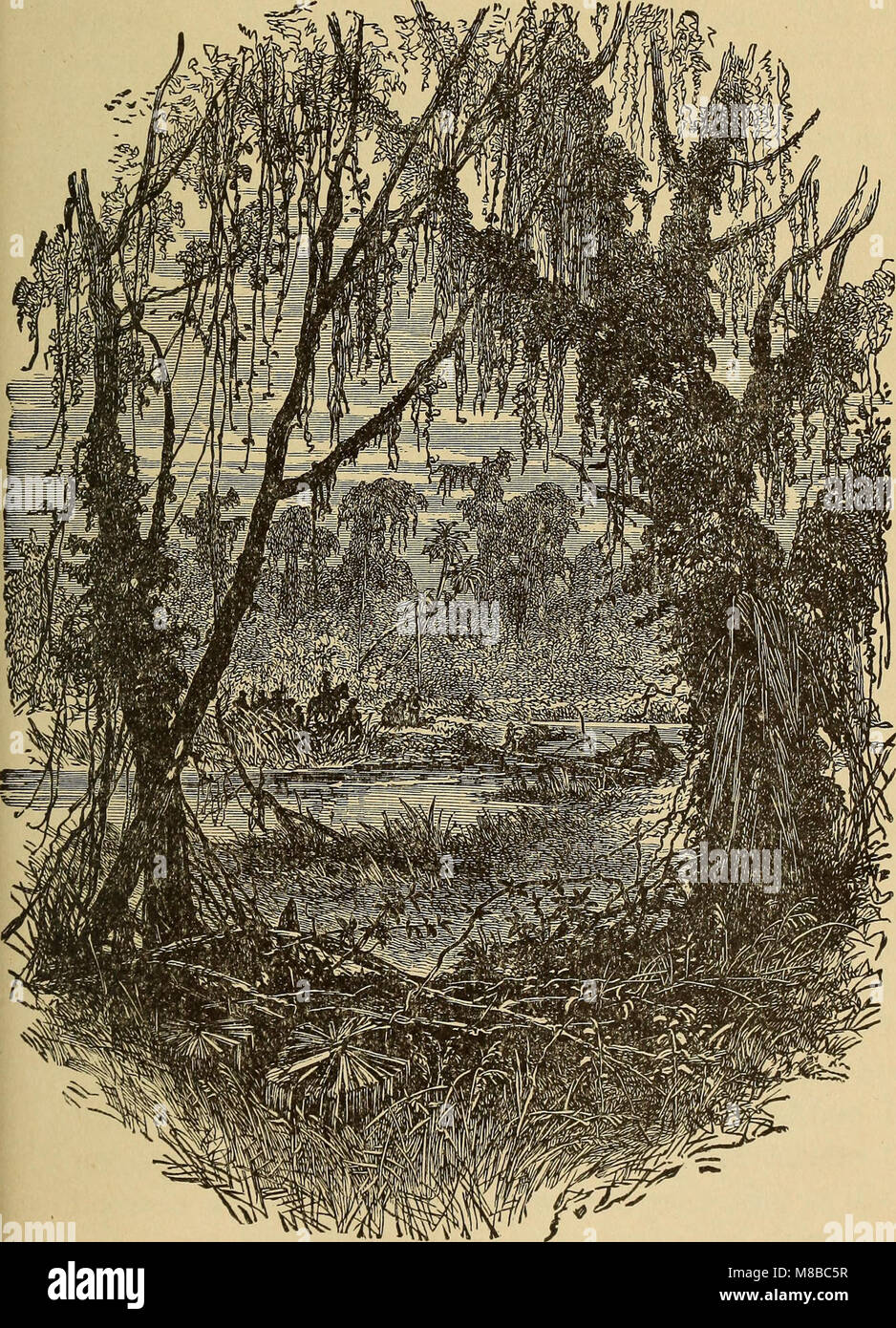 Daring deeds in the tropics. A thrilling narrative of remarkable ...