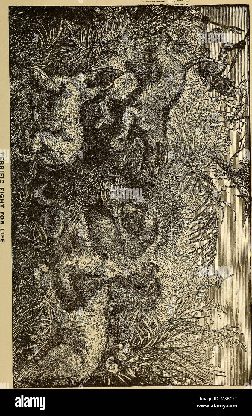 Daring deeds in the tropics. A thrilling narrative of remarkable ...