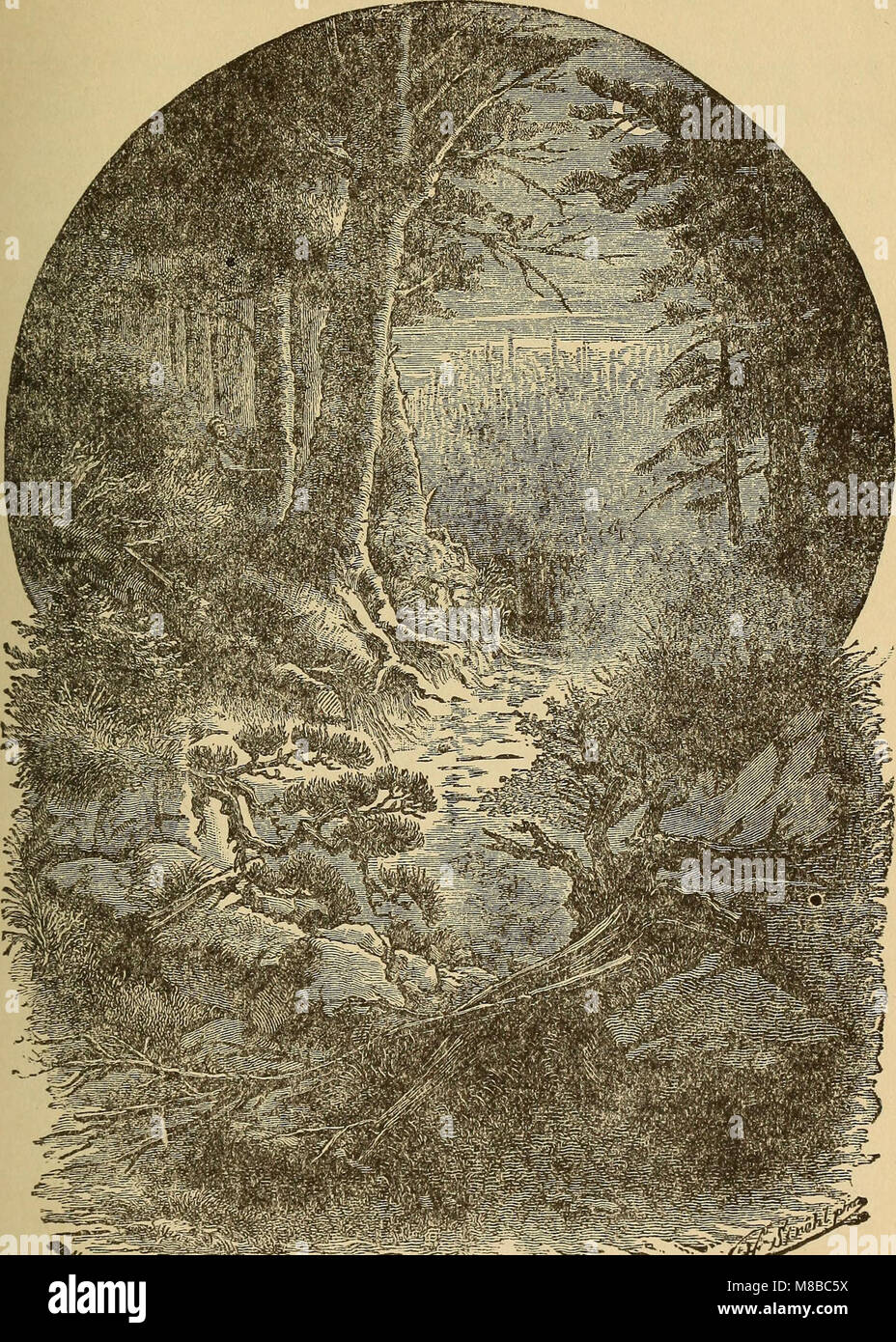 Daring deeds in the tropics. A thrilling narrative of remarkable ...