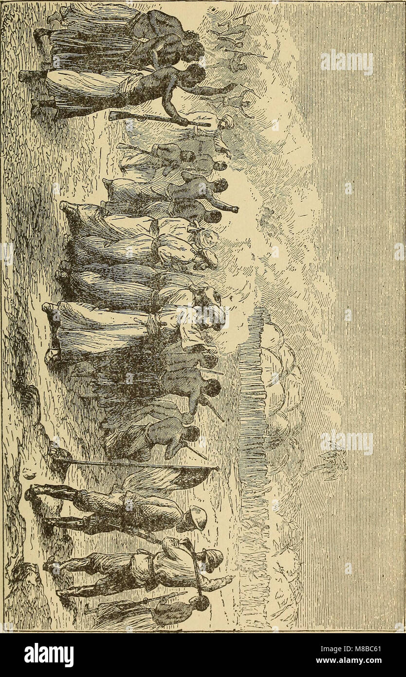 Daring deeds in the tropics. A thrilling narrative of remarkable ...