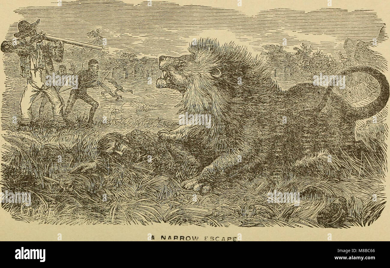 'Daring Deeds in the Tropics' (1894) recounts the adventures of ...