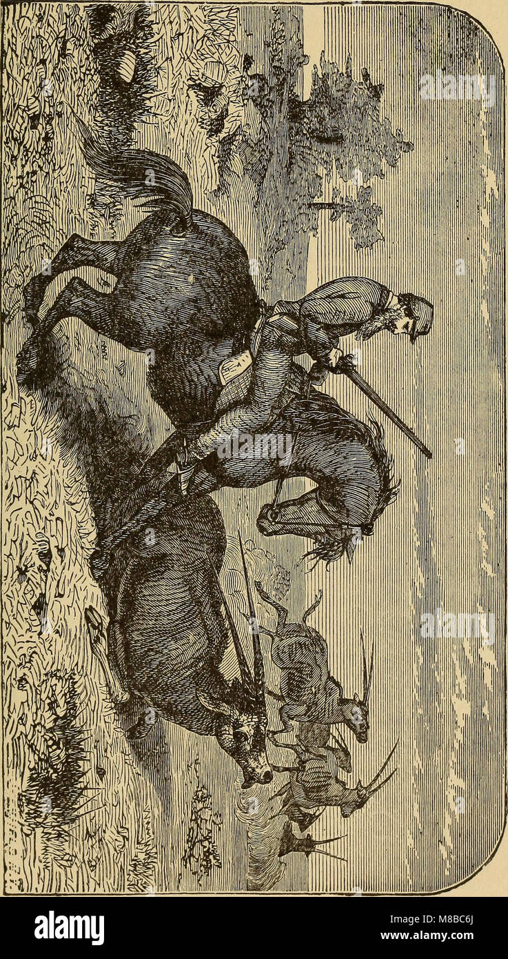 Daring deeds in the tropics. A thrilling narrative of remarkable ...