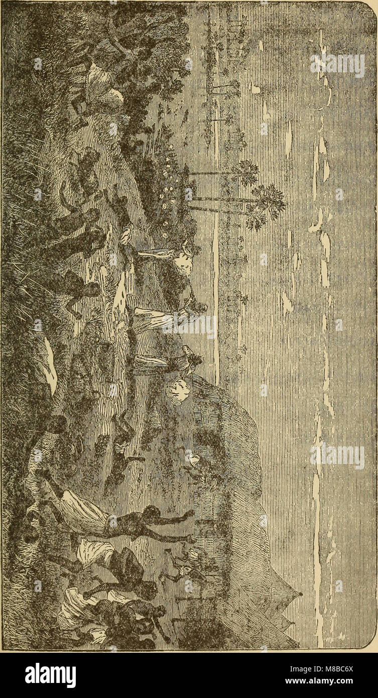 Daring deeds in the tropics. A thrilling narrative of remarkable ...