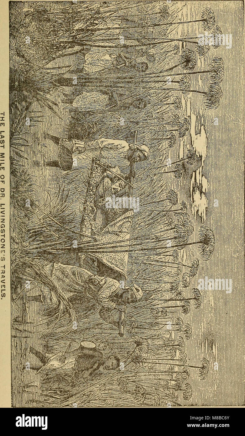 Daring deeds in the tropics. A thrilling narrative of remarkable ...