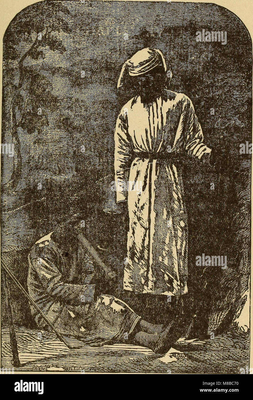 Daring deeds in the tropics. A thrilling narrative of remarkable ...