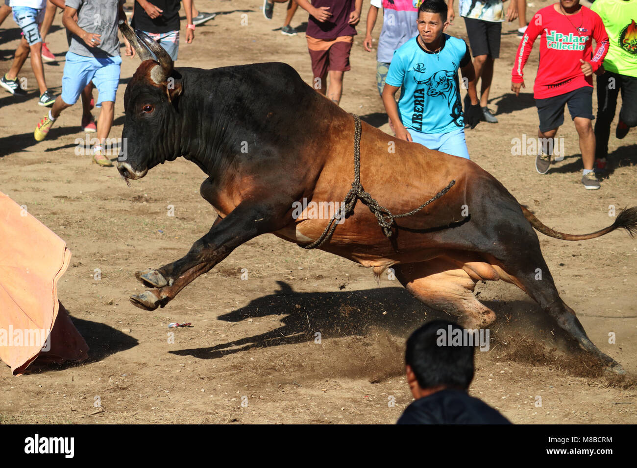 This picture was taken in a Costa Rican traditional activity Stock ...
