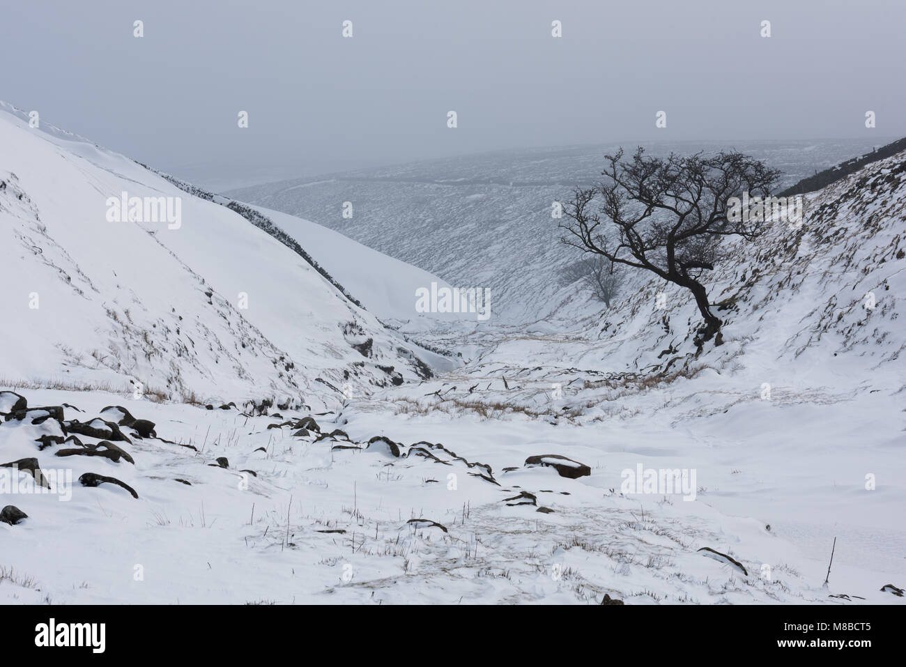 Bray park hi-res stock photography and images - Alamy