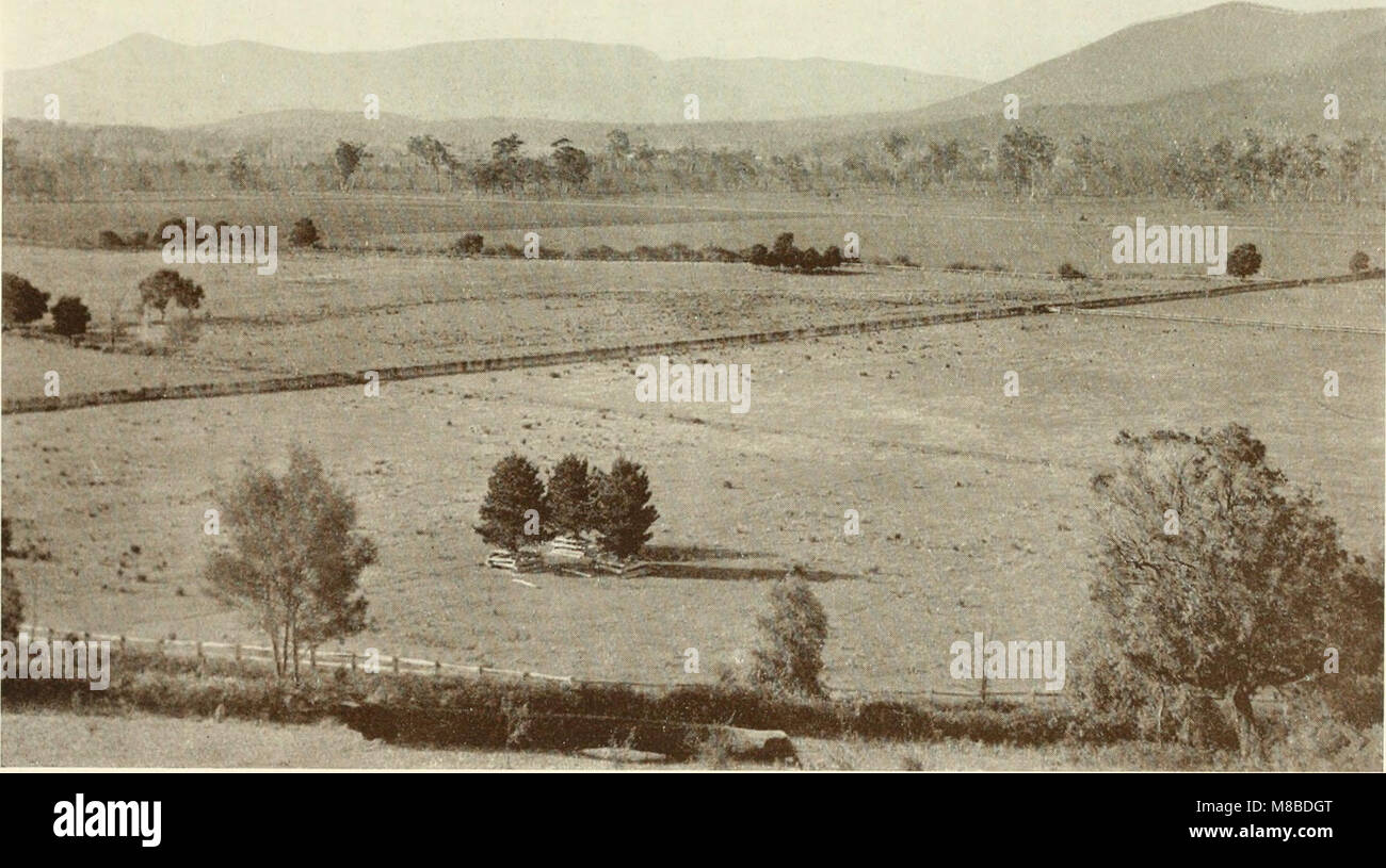 *David Syme, the Father of Protection in Australia* (1908) examines the ...