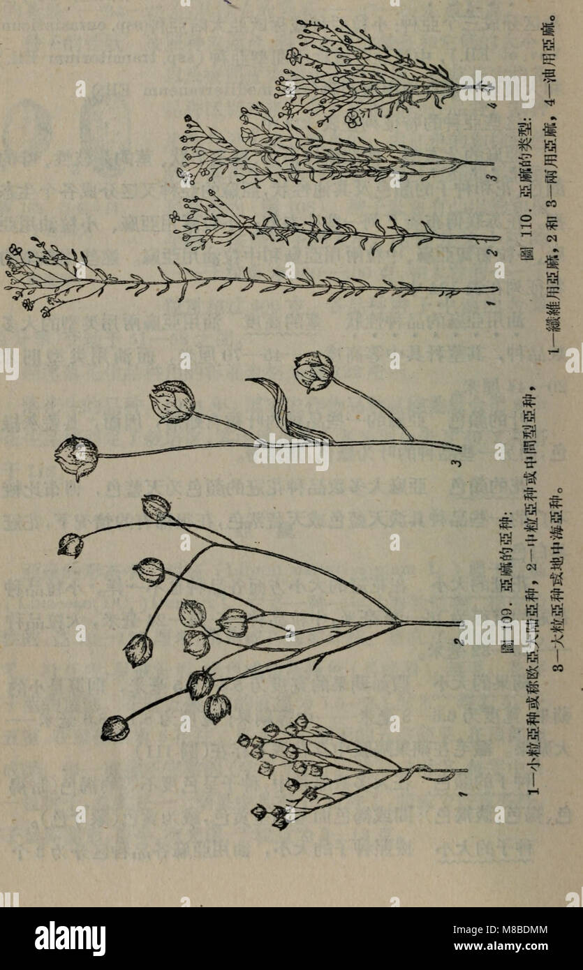 Da tian zuo wu yu zhong xue yu zhong zi fan yu xue shi xi zhi dao (1957 ...
