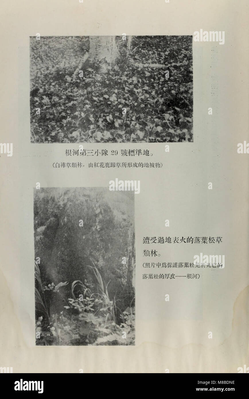 Da xing an ling sen lin zi yuan diao cha bao gao (1954-1955 ...