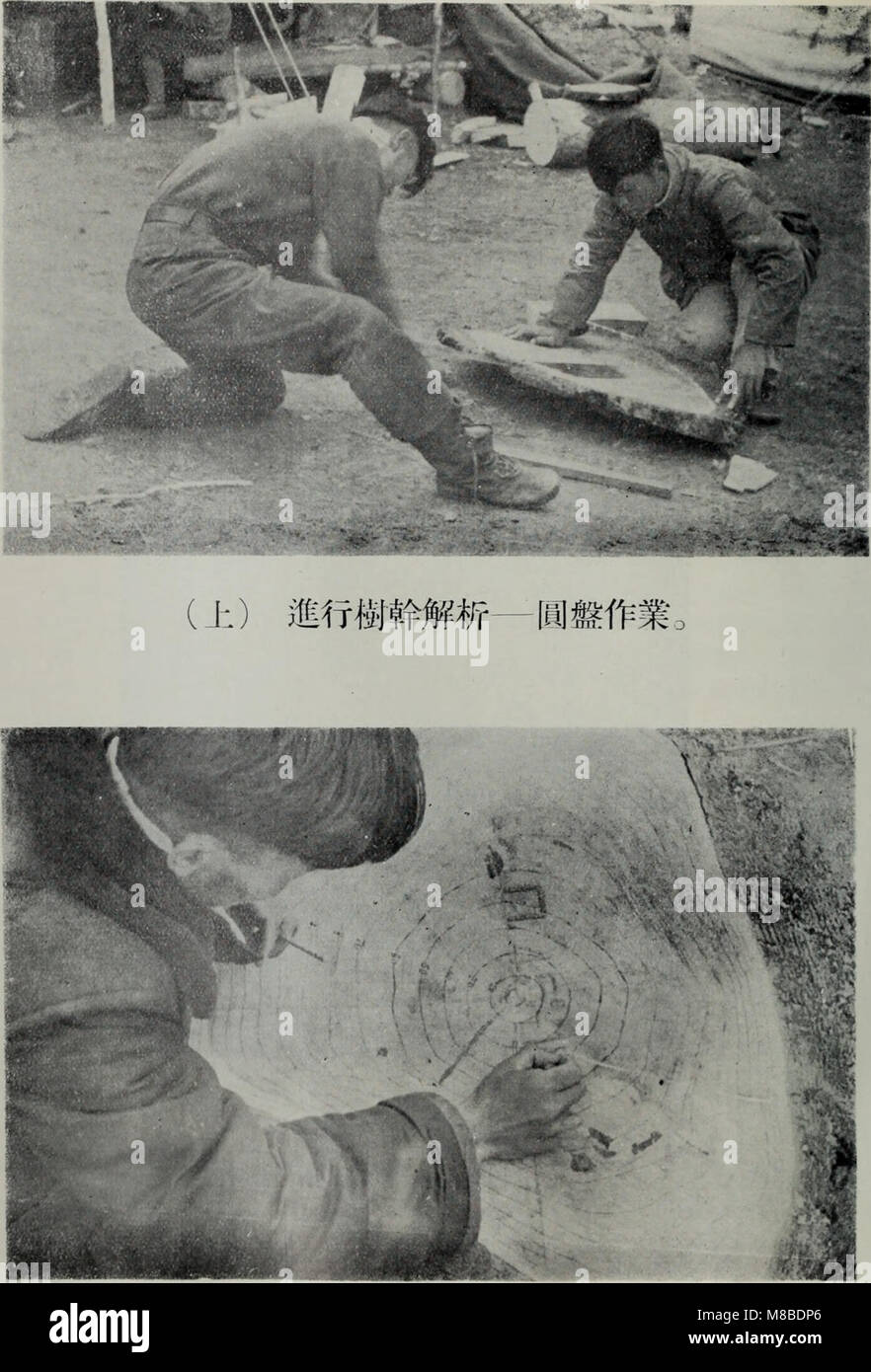 Da xing an ling sen lin zi yuan diao cha bao gao (1954-1955 ...