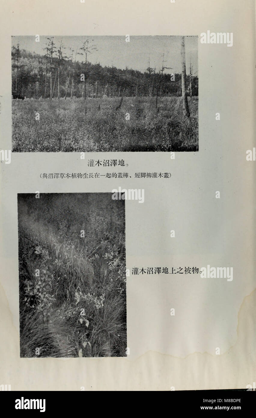 Da xing ling sen lin hi-res stock photography and images - Alamy