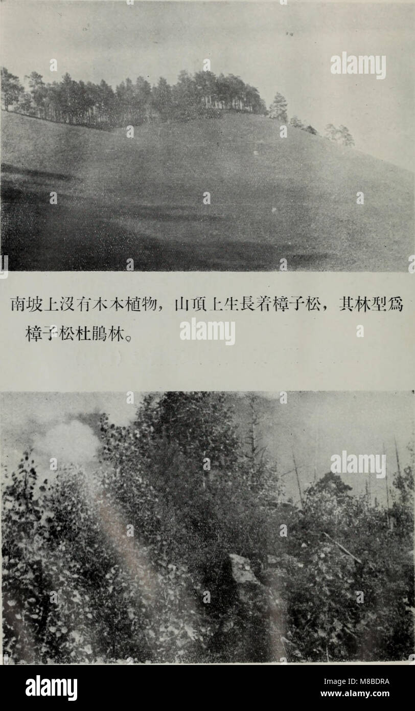 The *Da Xing An Ling Sen Lin Zi Yuan Diao Cha Bao Gao* (1954-1955) is a ...