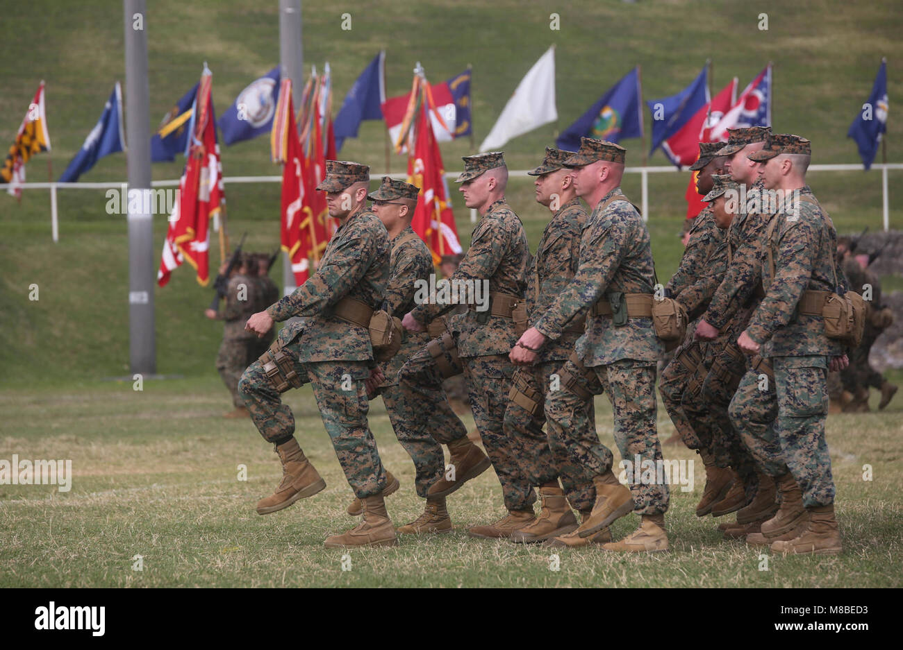 U.S. Marines with 3rd Marine Division conduct drill during the sergeant ...
