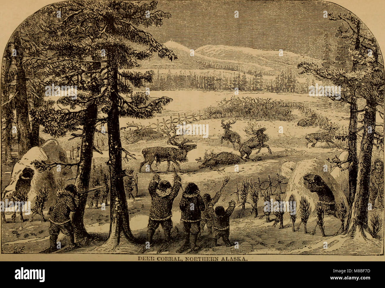 The Deer Corral in Northern Alaska is a historically significant site ...