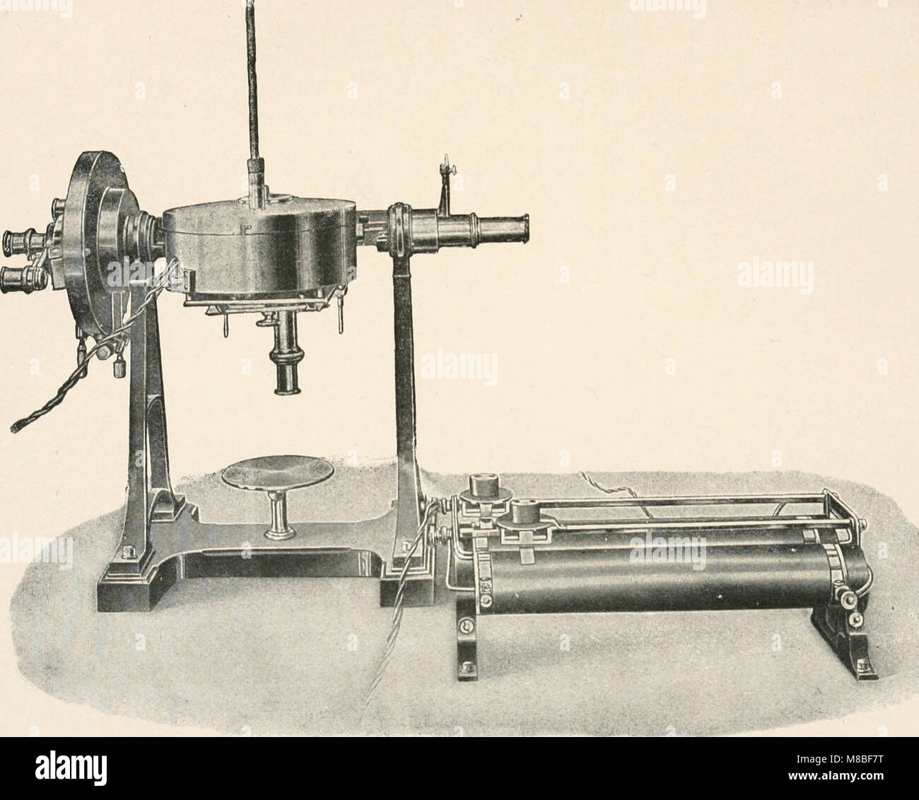 This study explores the defensive mechanisms of the animal organism ...