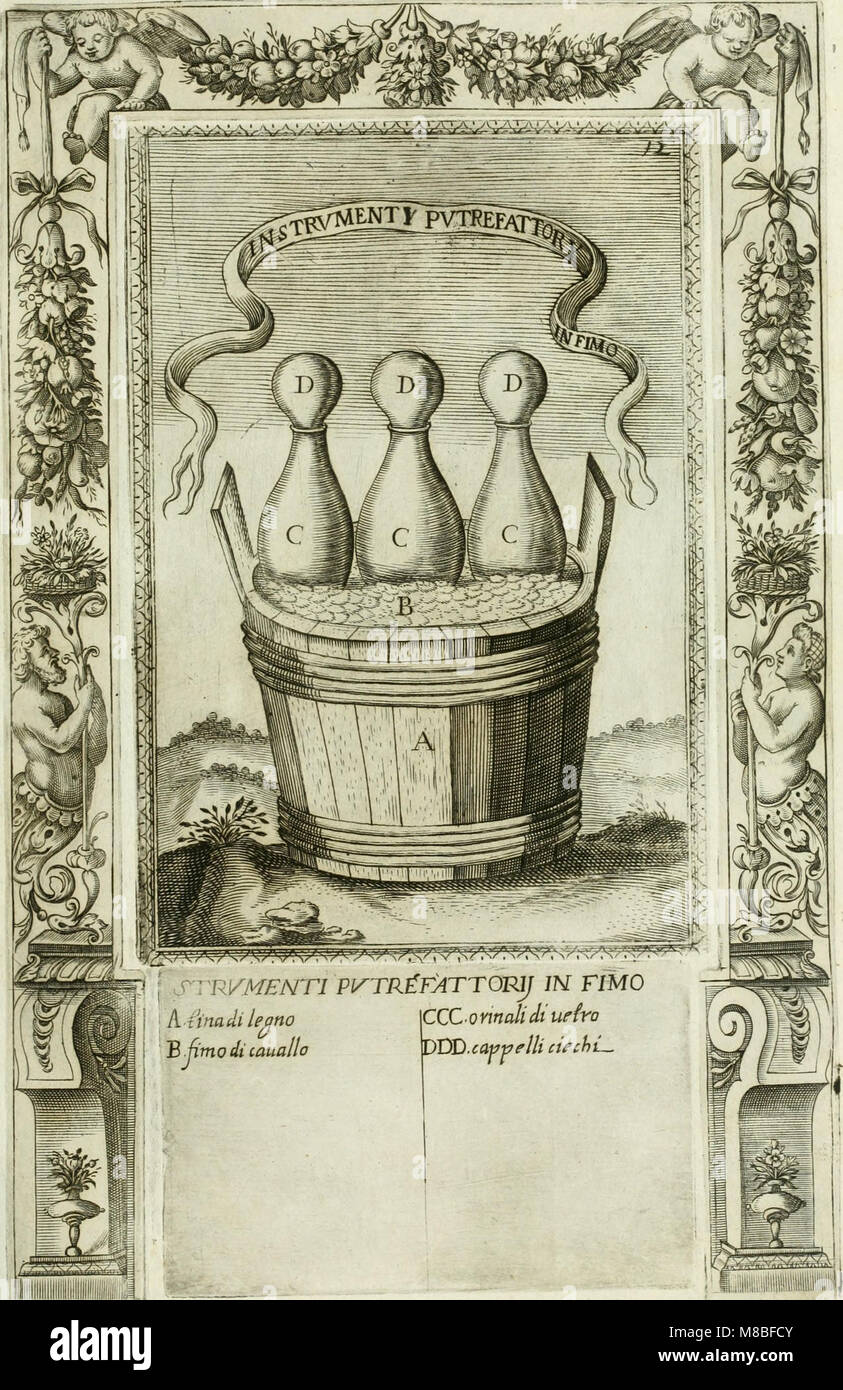 Dellelixir vitae hi-res stock photography and images - Alamy