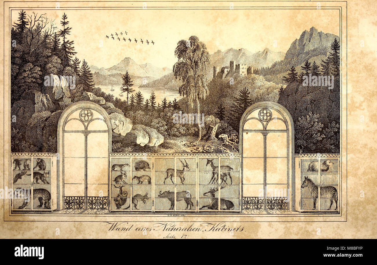 A detailed guide from 1852 on the collection, preparation ...