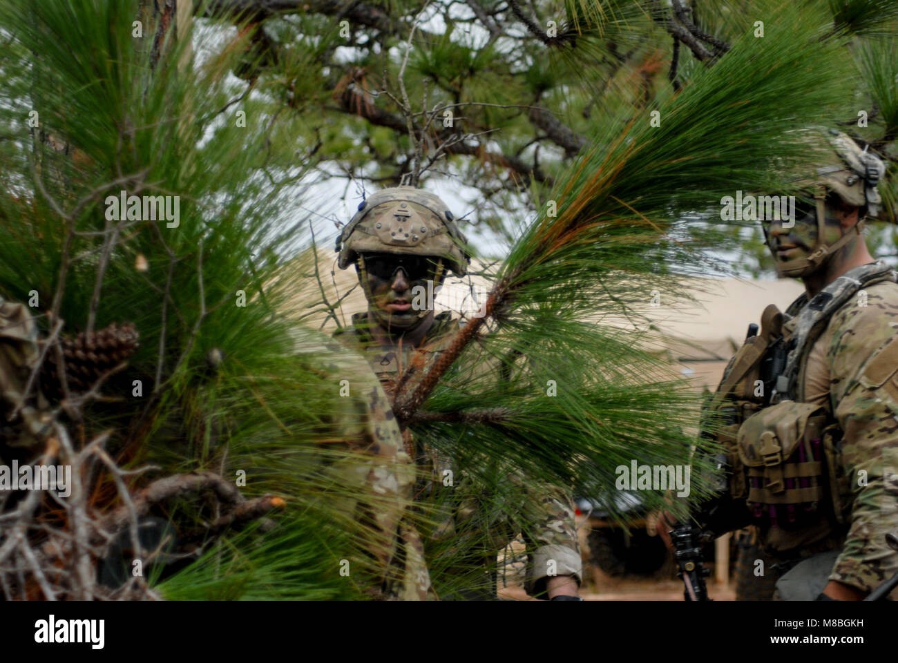 325th airborne infantry regiment hi-res stock photography and images ...