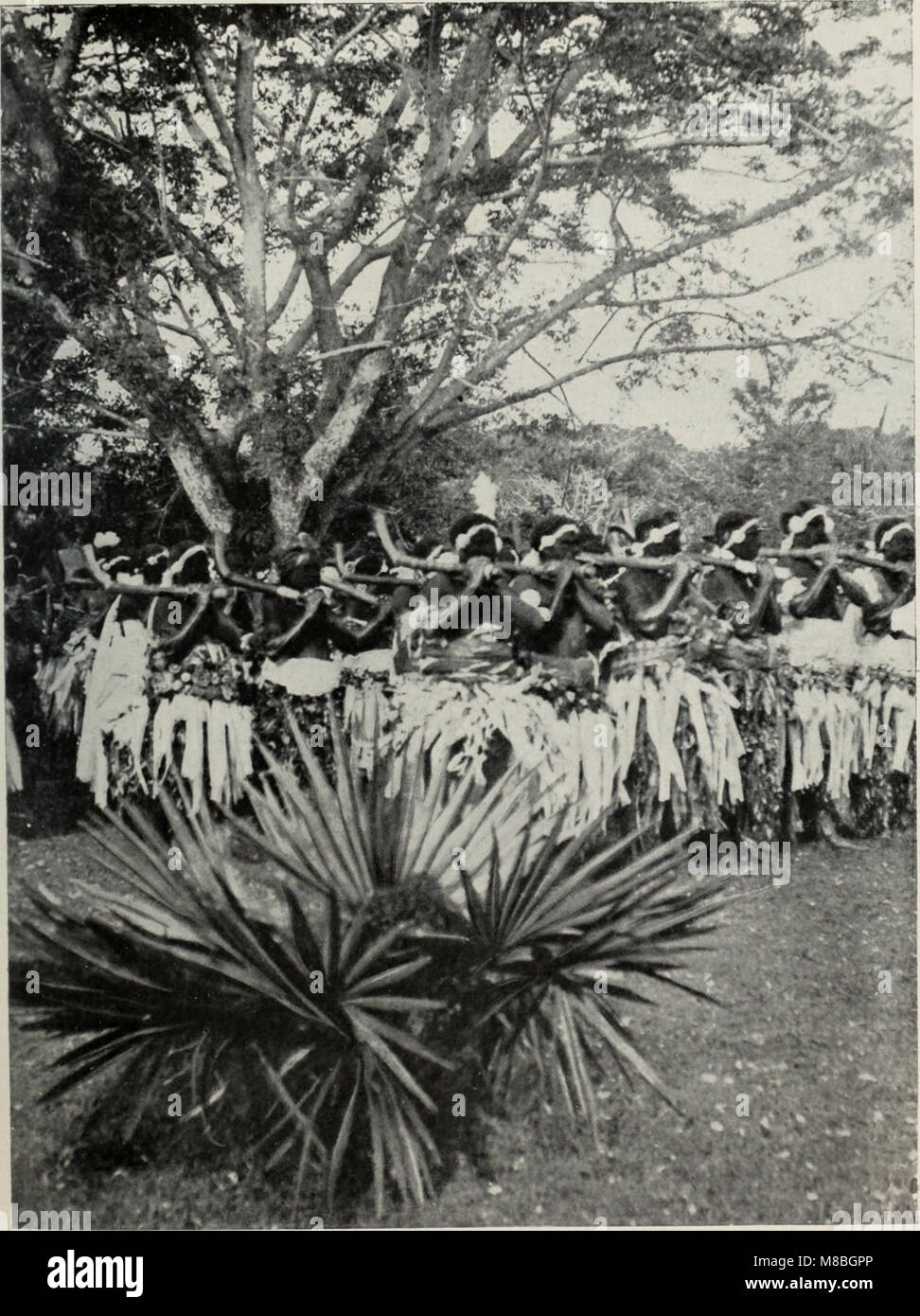 Die Sitten der Völker- Liebe, Ehe, Heirat, Geburt, Religion, Aberglaube ...