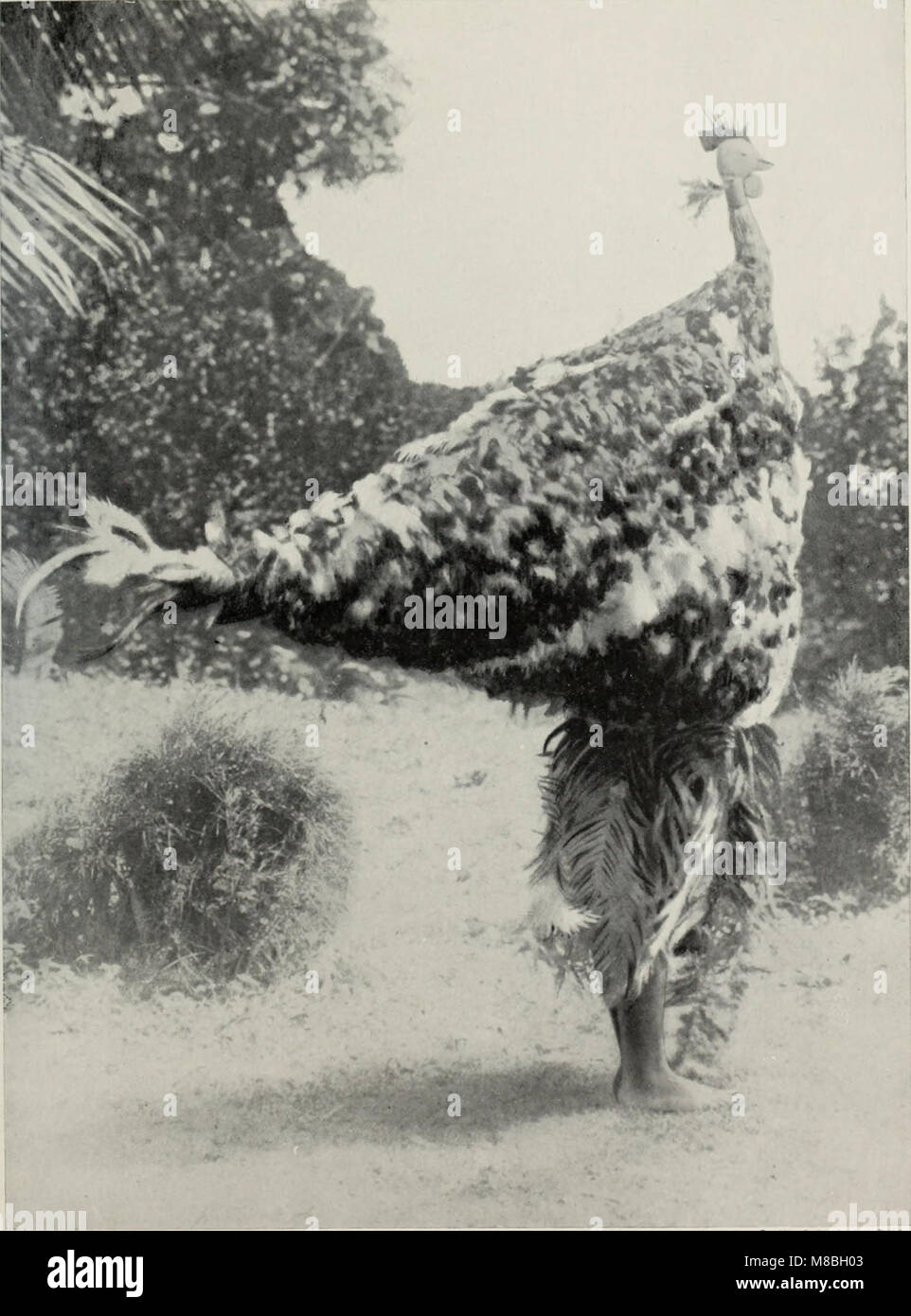 Die Sitten der Völker- Liebe, Ehe, Heirat, Geburt, Religion, Aberglaube ...