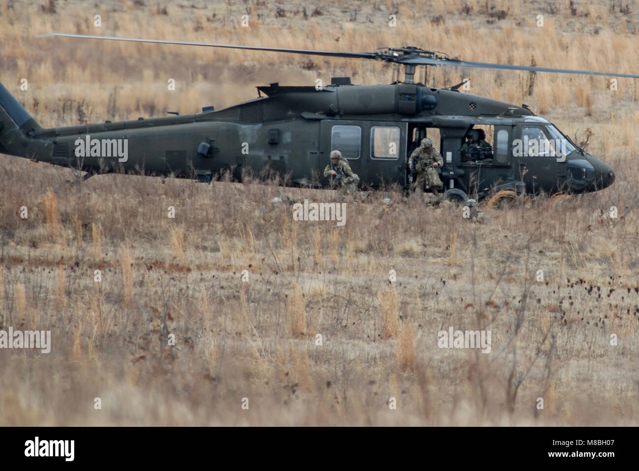 325th airborne infantry regiment hi-res stock photography and images ...