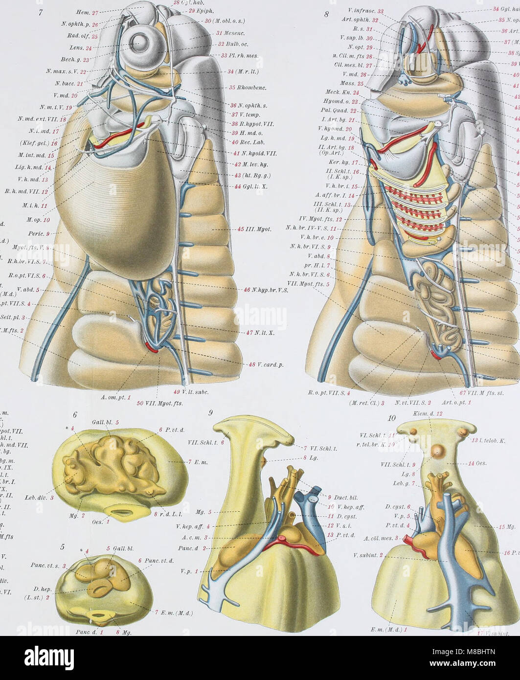 The 1913 publication from the Medical and Natural Science Society of ...