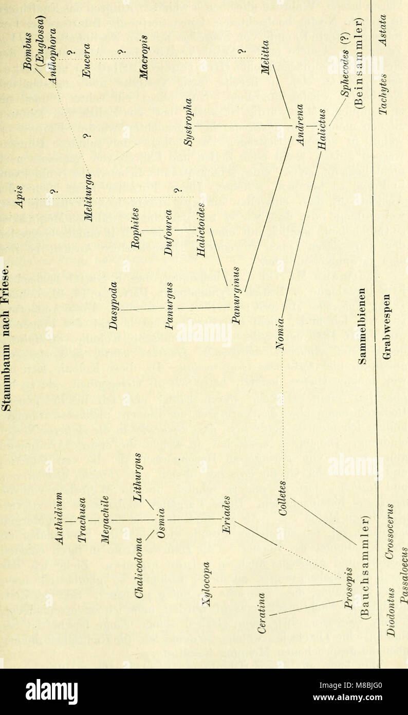 This 1908 work, presented at the Zoology Congress, discusses the ...