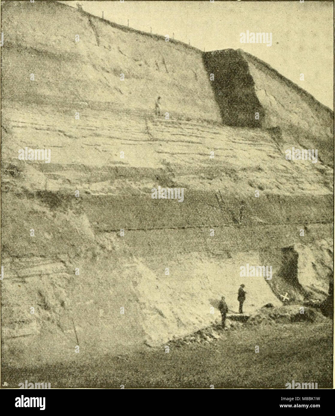 The 1911 publication *Der Mensch, sein Ursprung und seine Entwicklung* provides an overview of ...