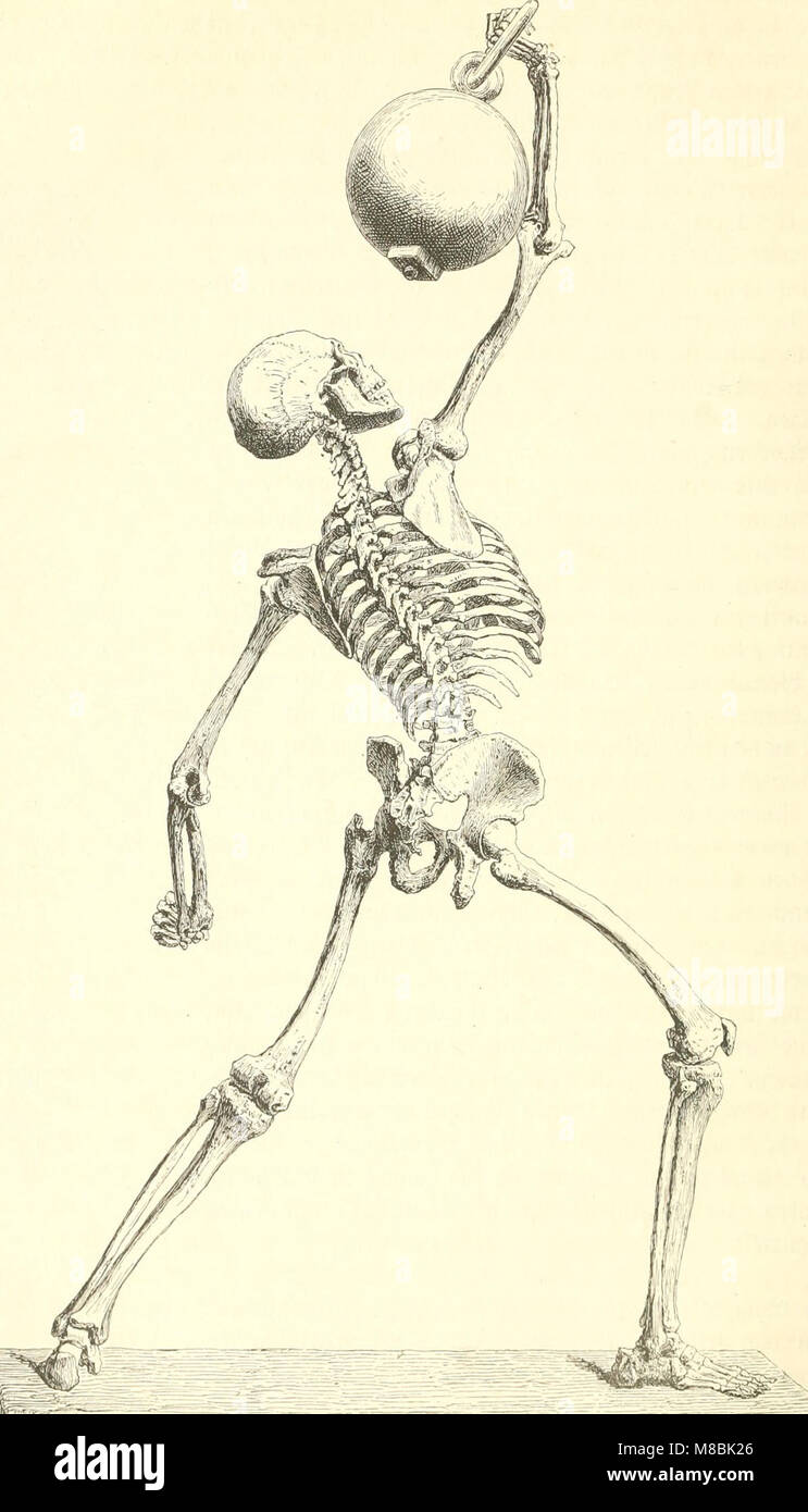 'Der Mensch' (The Human) is a German publication starting in 1886 that ...